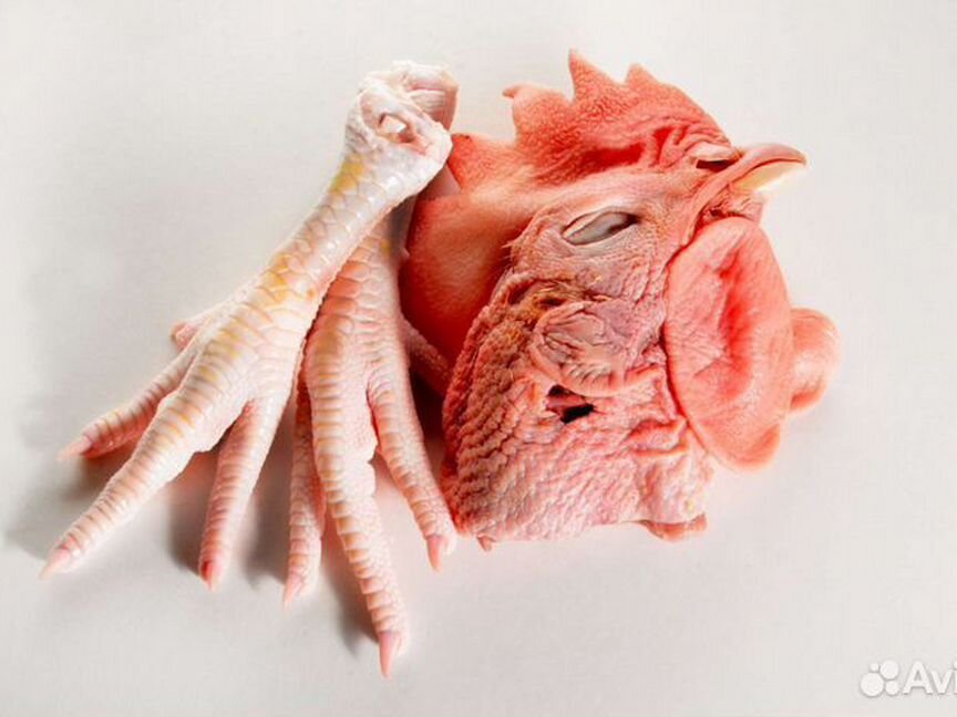 Куры домашние на мясо