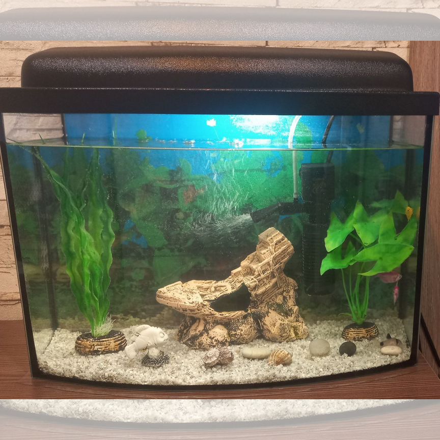 Аквариум с рыбками