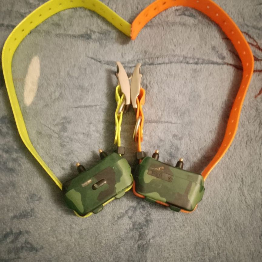 Ошейник для охотничьих собак