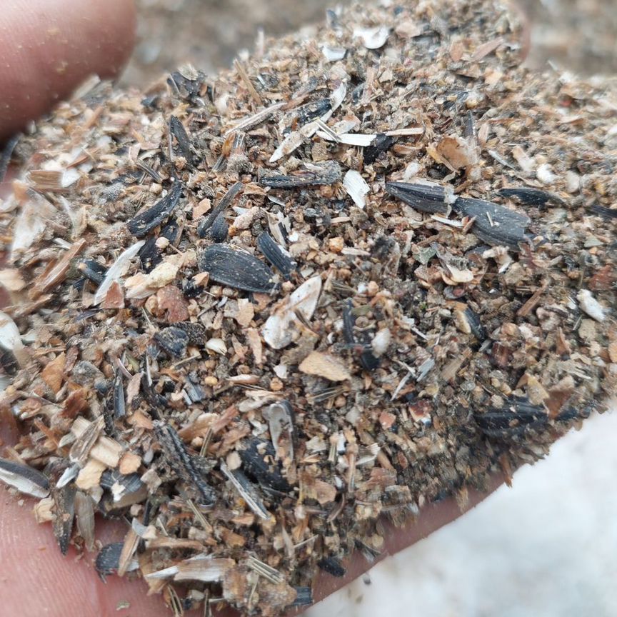 Корм для животных