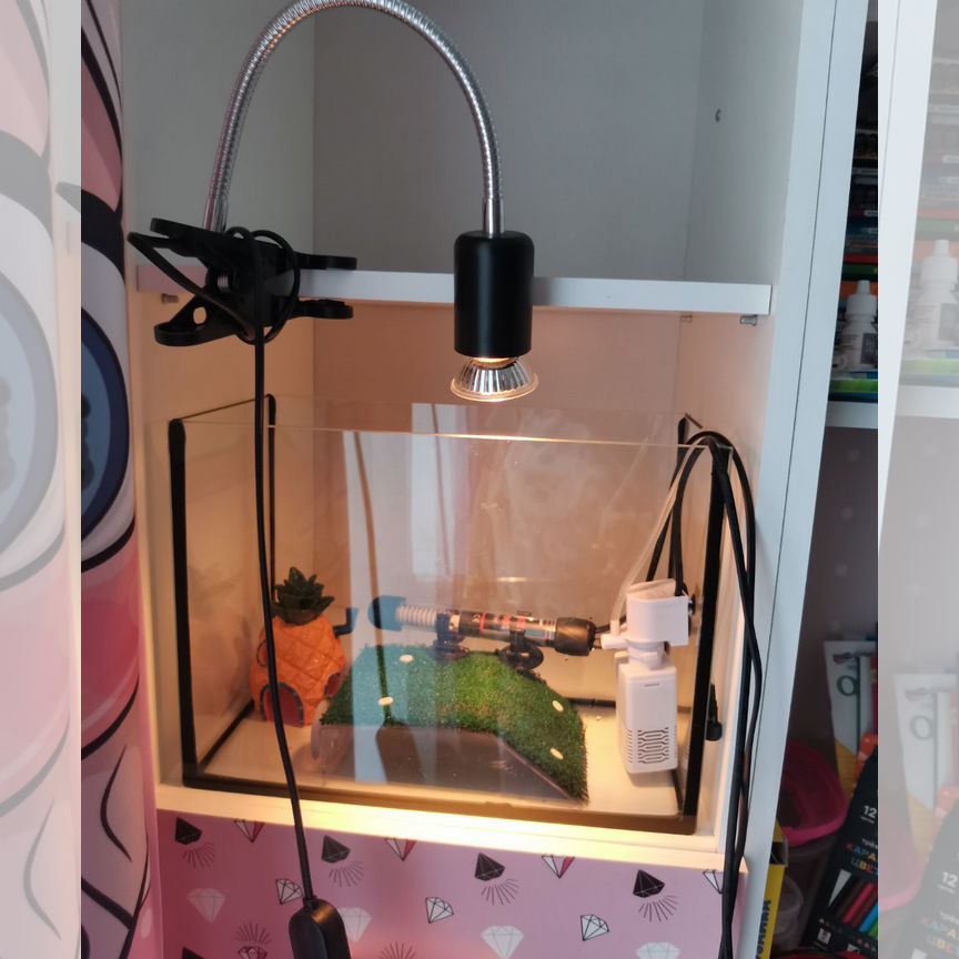 Аквариум со всеми принадлежностями