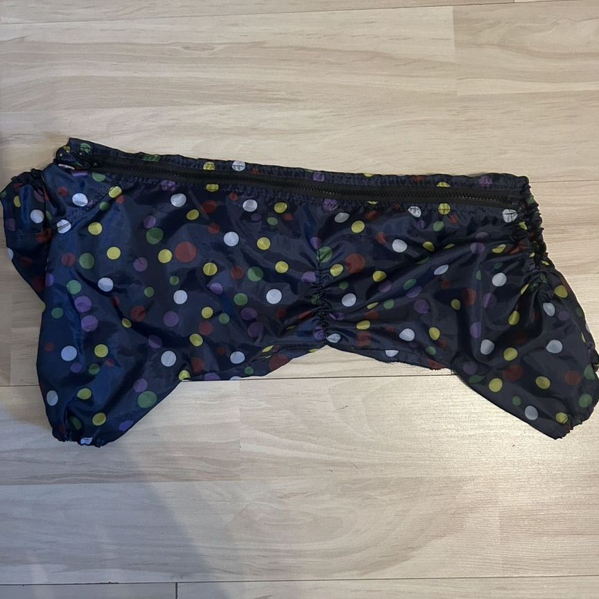 Дождевик для корги, таксы мальчик