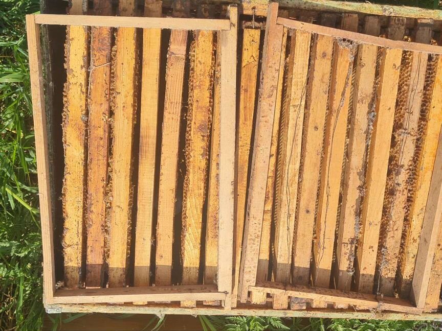 Пчеловодство