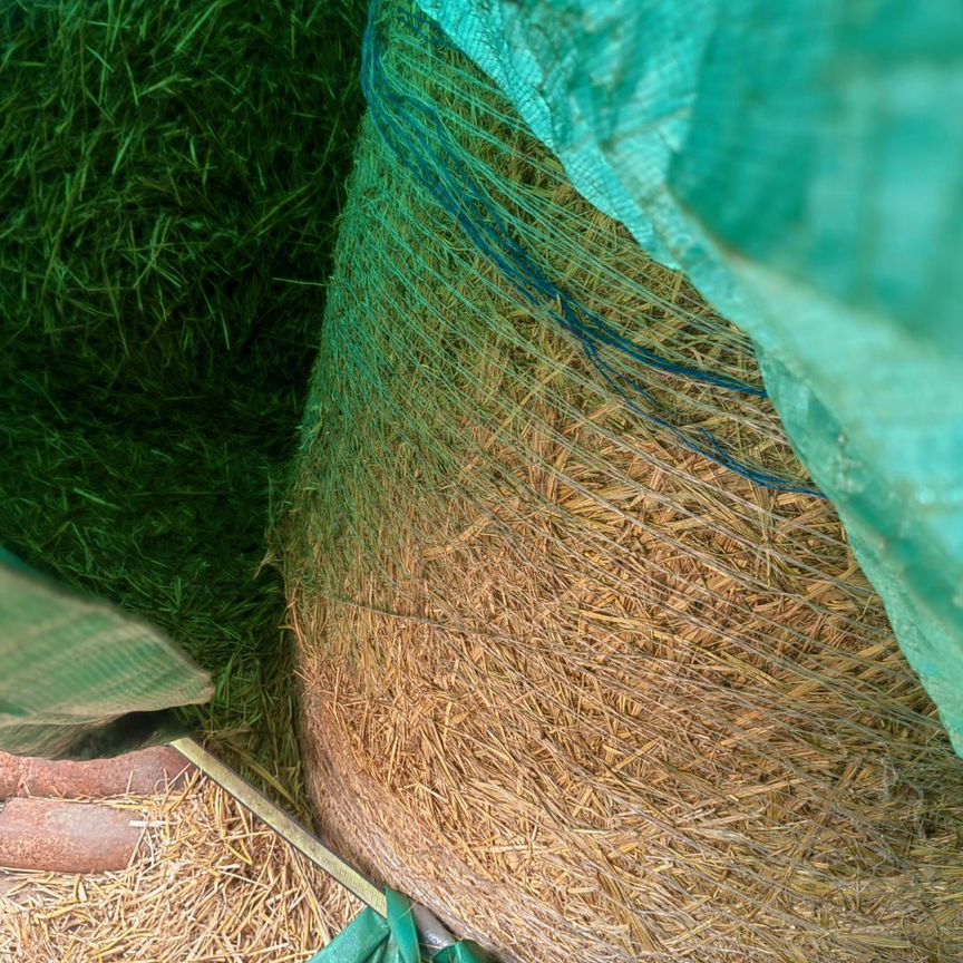 Солома в рулонах 2024 год