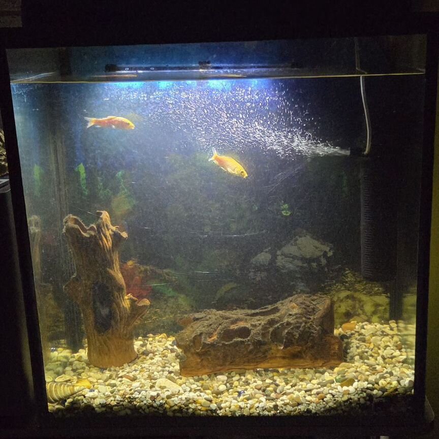 Аквариум с крышкой 606030