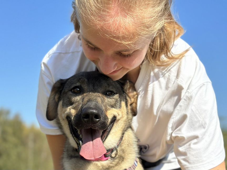 Ласковая молоденькая собачка оказалась в приюте