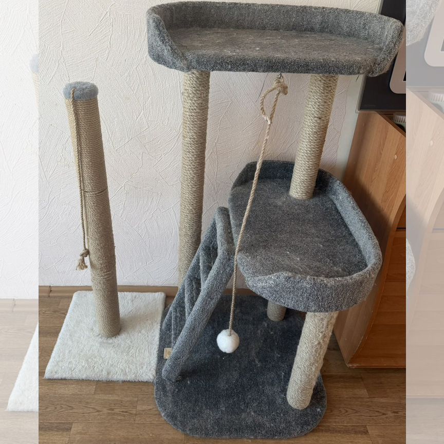 Товары для животных кошек