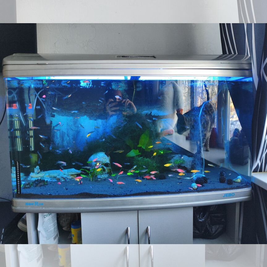 Аквариум с рыбками и тумбой