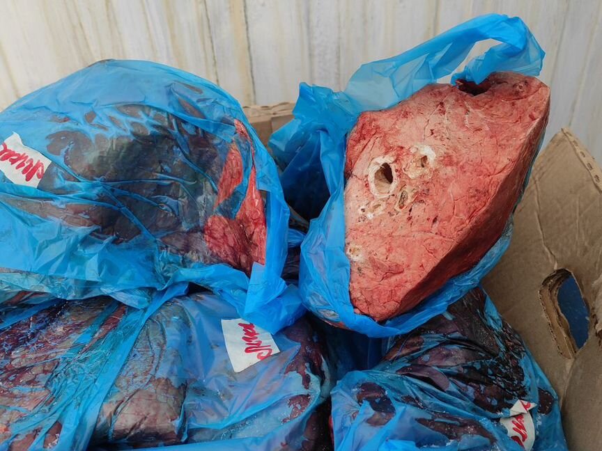 Субпродукты для животных