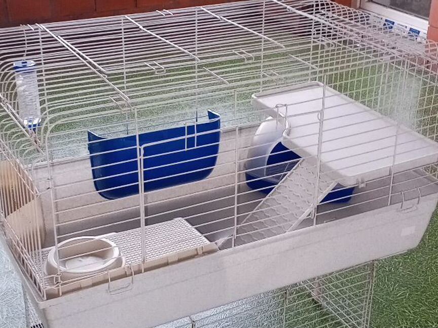 Клетки в хорошем состоянии для грызунов