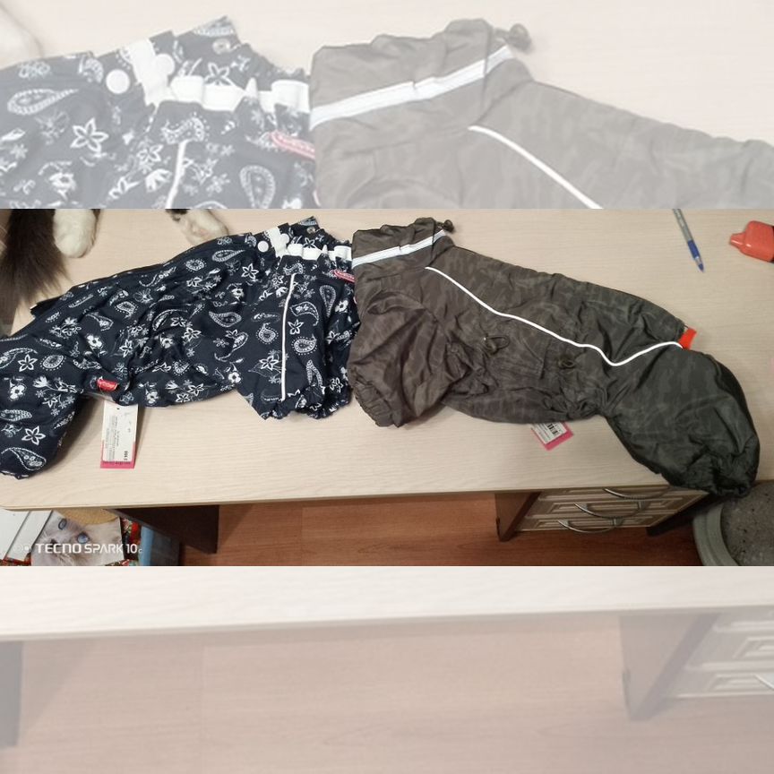 Одежда для собак