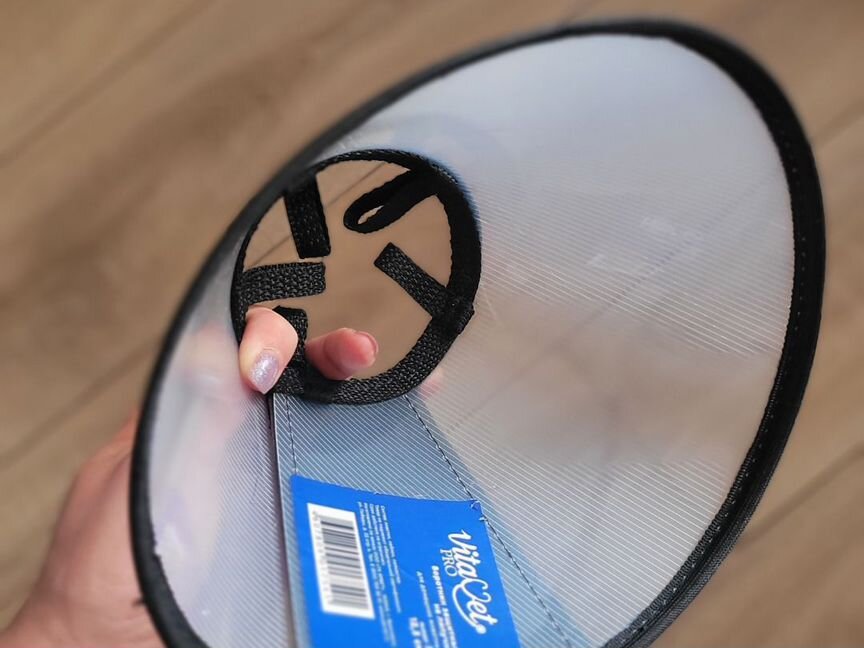 Ошейник для животных