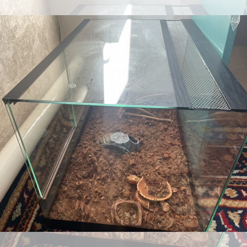 Террариум для рептилий 60*40*40