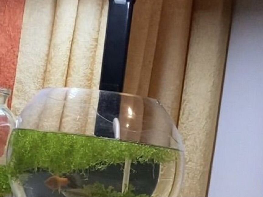 Грунт в аквариум, Аквариум