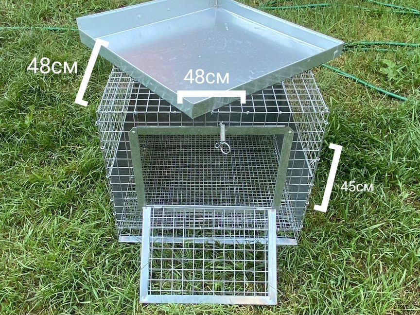 Большая клетка для птиц, брудер