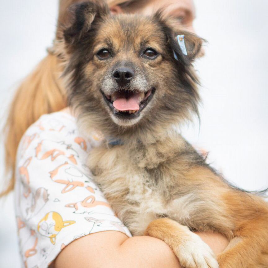 Мальта ищет дом