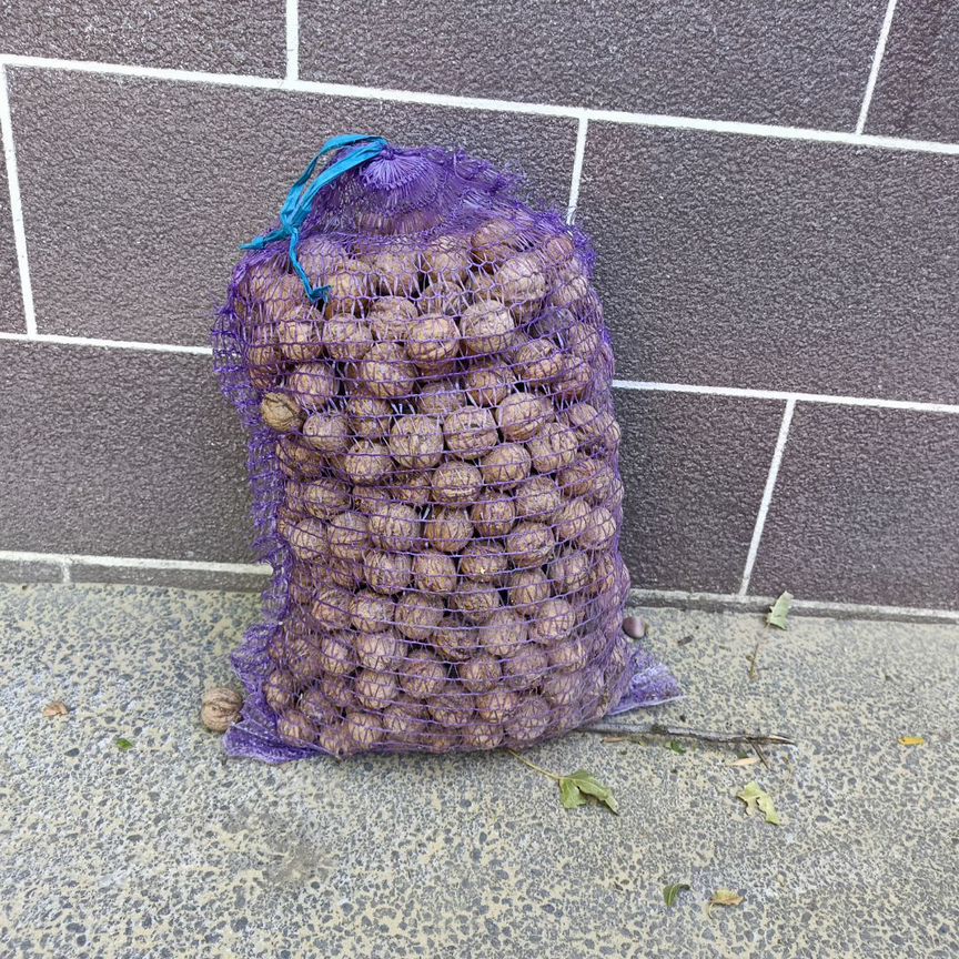 Грецкий орех в скорлупе урожай 2021 года