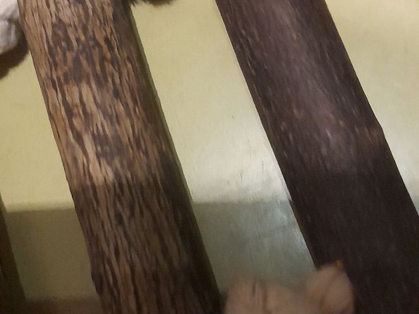 Лесенка для попугая