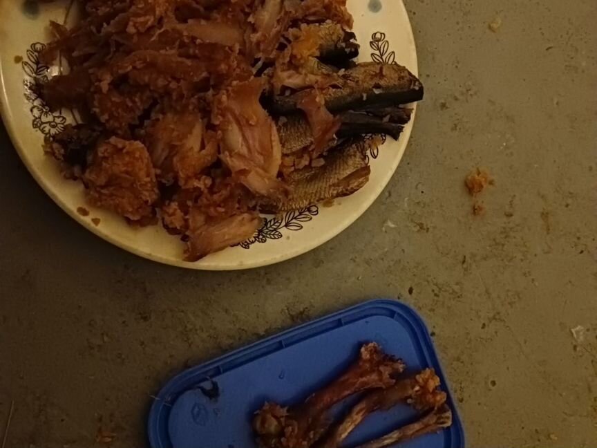 Отходы для собак/кошек