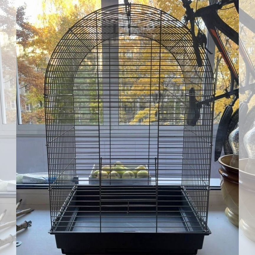 Клетка для канарейки или попугая
