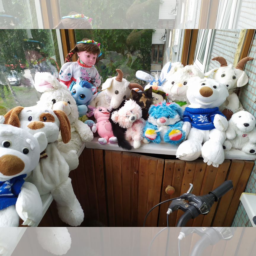 Найдена черная с рыжими крапинами кошка