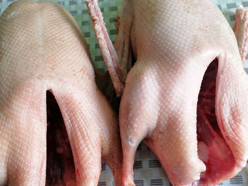 Продам мясо гуся