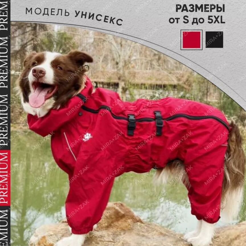 Одежда для собак средних пород