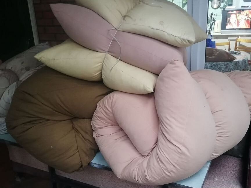 Перо, пух птицы приём