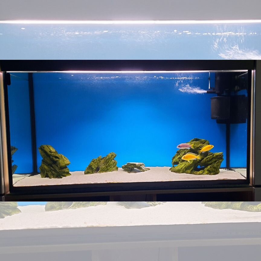 Аквариум 300 л