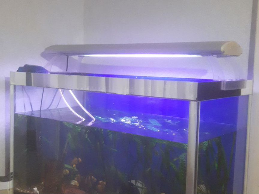 Аквариум с цихлидами 200л