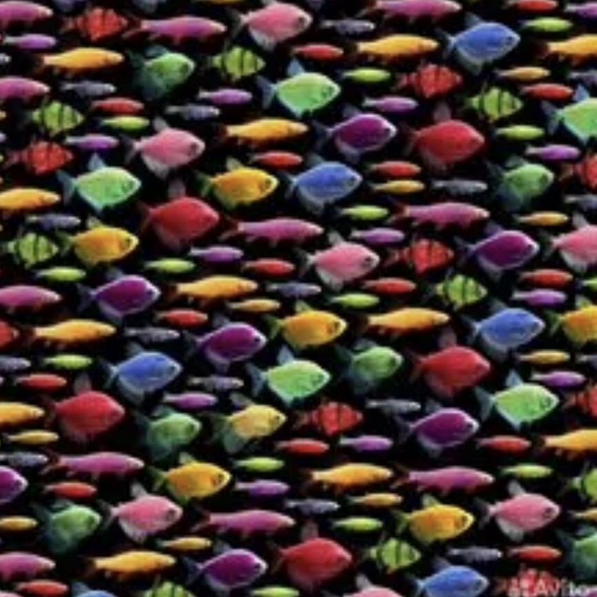 Аквариумные рыбки, аквариумы и растения