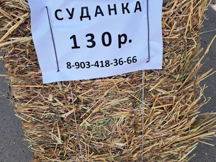 Сено суданка в тюках