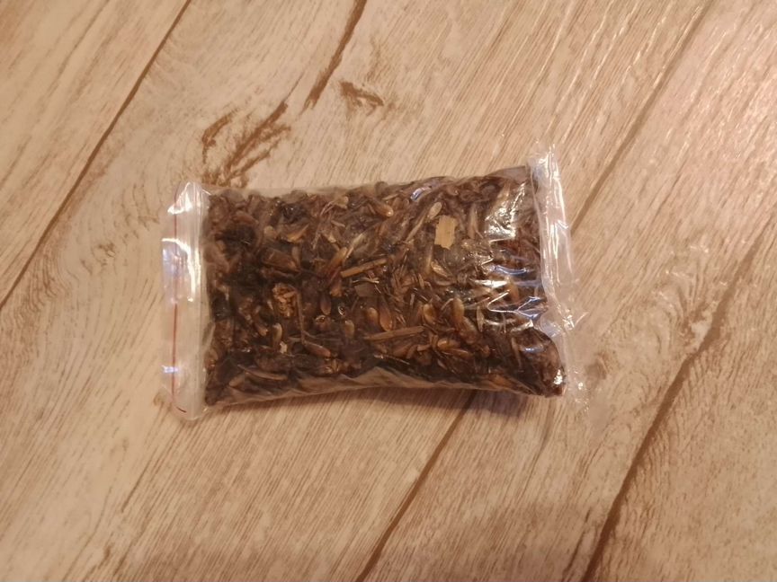 Сушёные сверчки. Корм для птиц