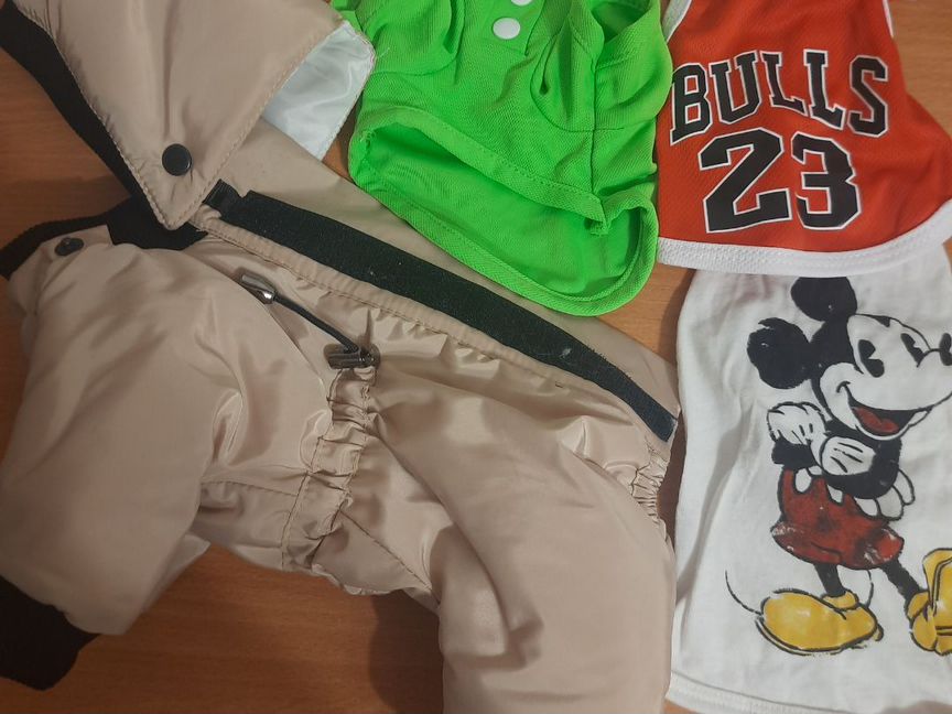 Одежда для маленьких собак xs