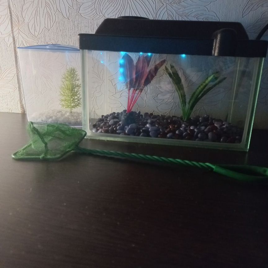 2 аквариума, сачок и галька