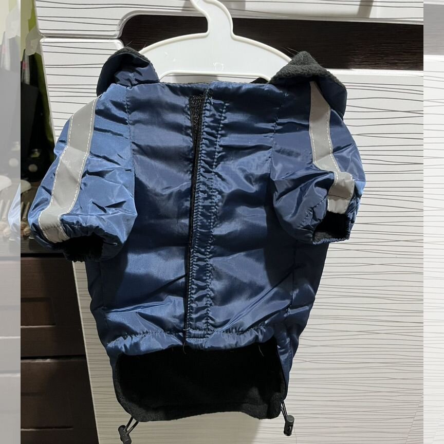 Одежда для собак