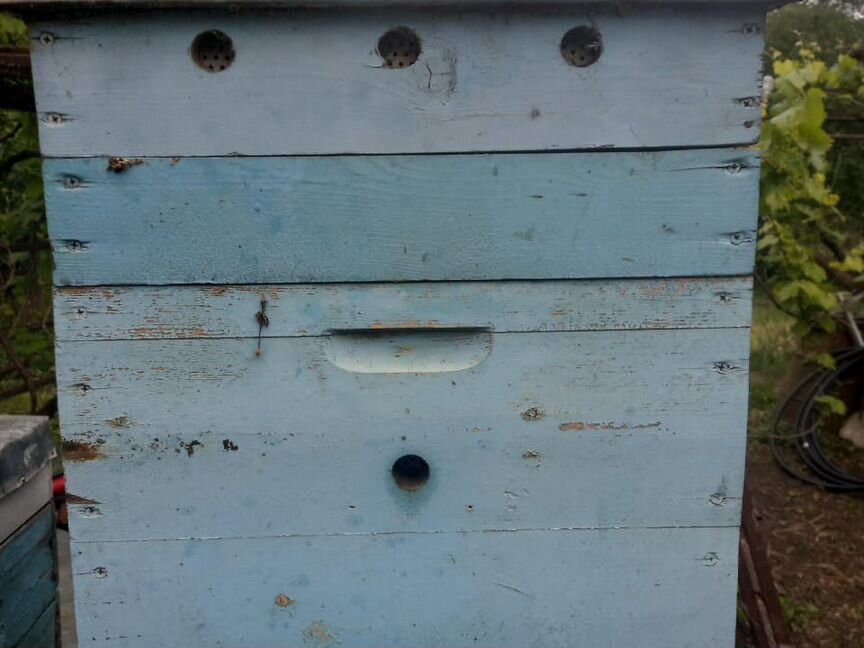 Улей дадан трехкорпусной