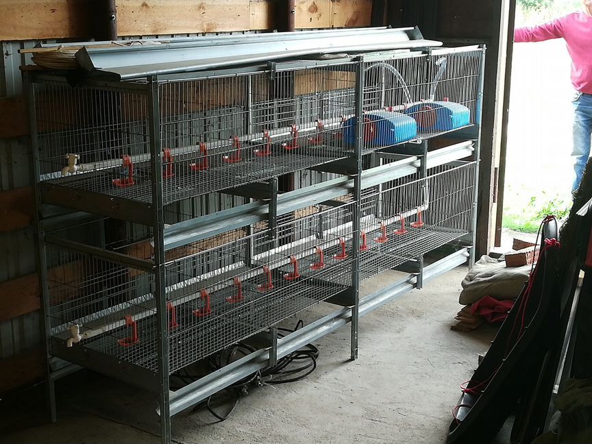 Продаю клетку для выращивания цыплят