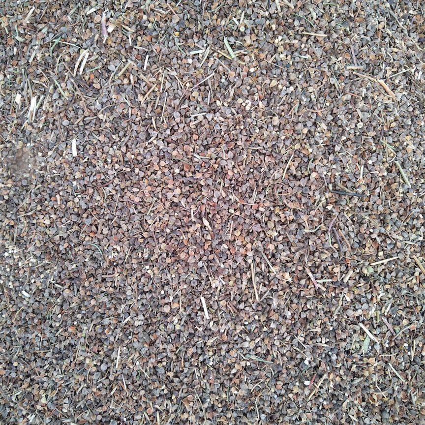 Гречка на корм с/х животным