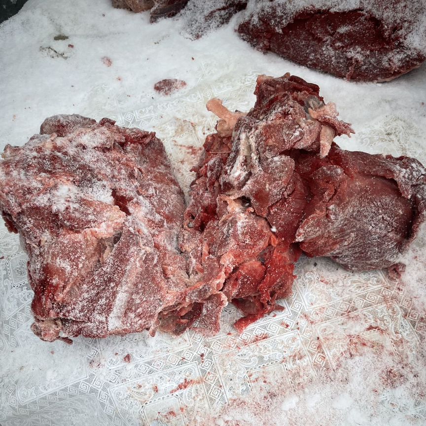 Мясо доя собак