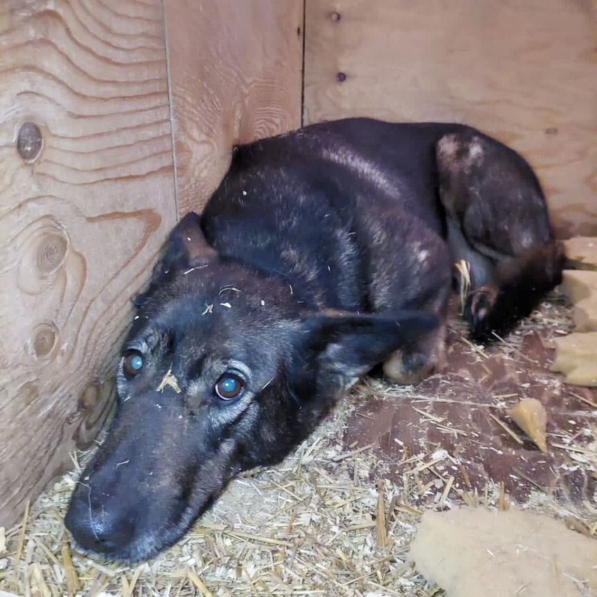 Я никогда не стану нужной