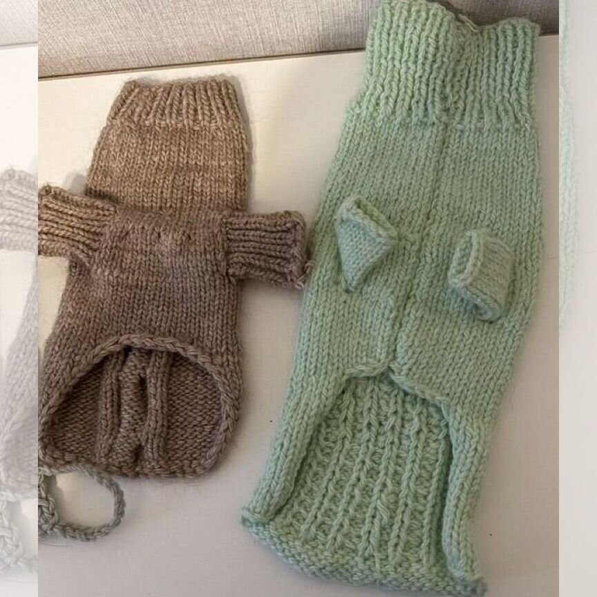 Одежда для собак мелких пород