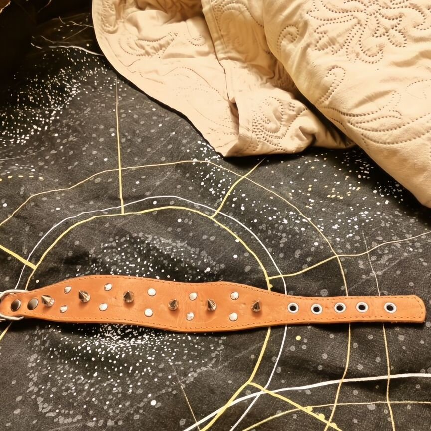 Ошейник для маленькой собаки