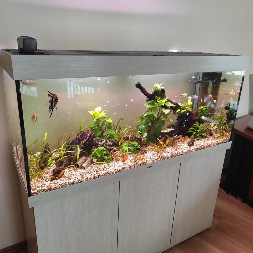 Аквариум с тумбой