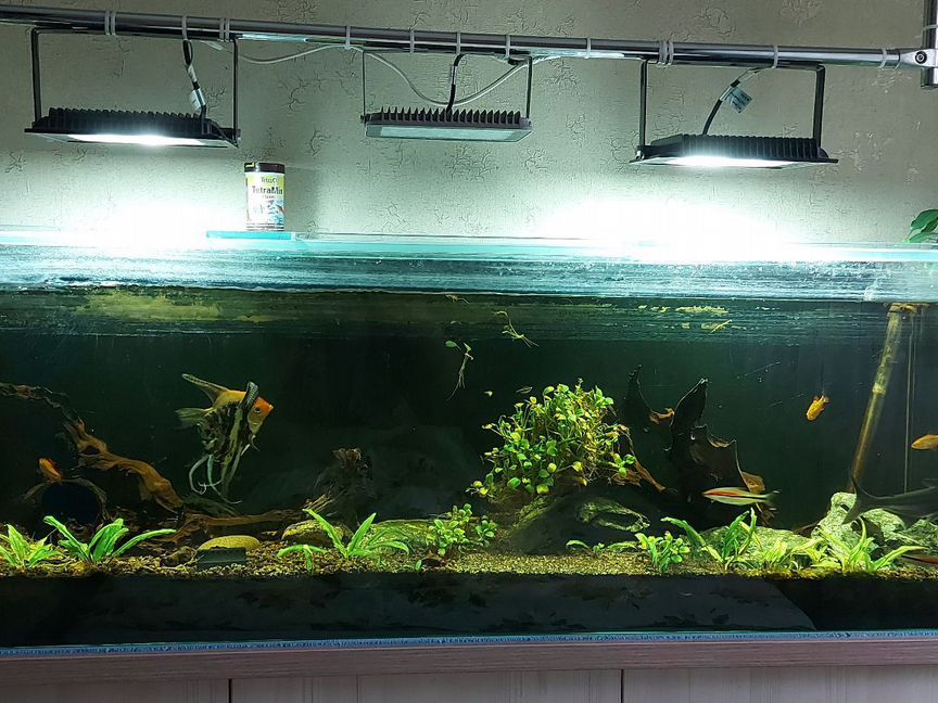 Аквариум на 260 л с вн.фильтром и баллоном со2