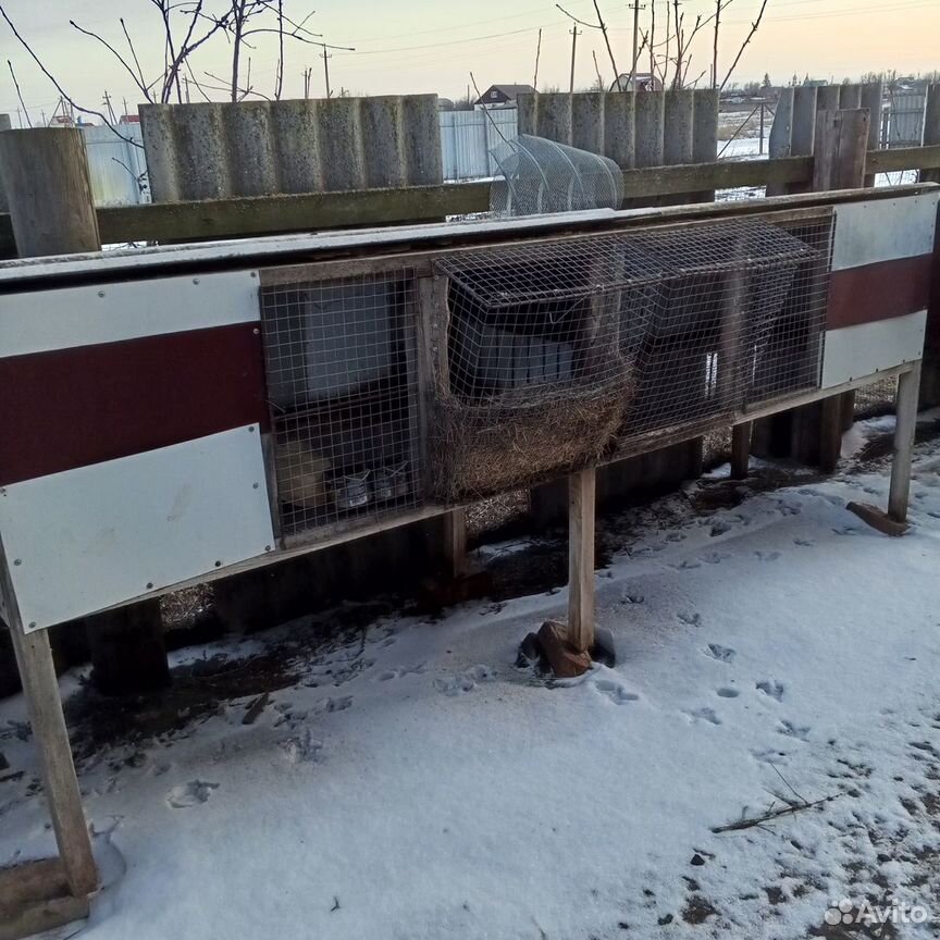 Клетки для кроликов бу