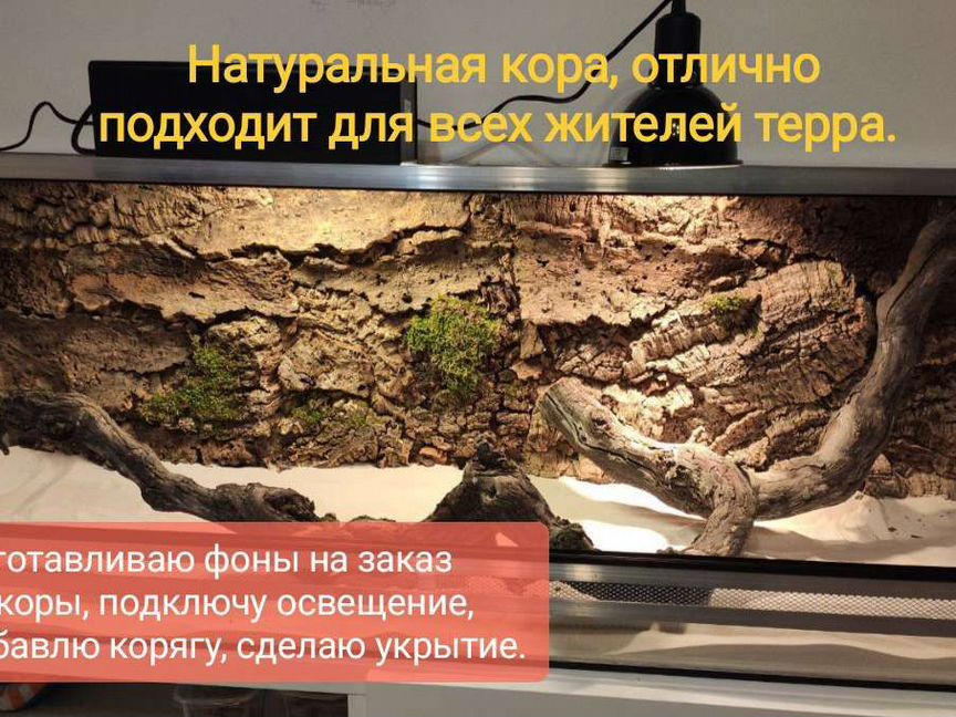 Террариумы под заказ за 2дня