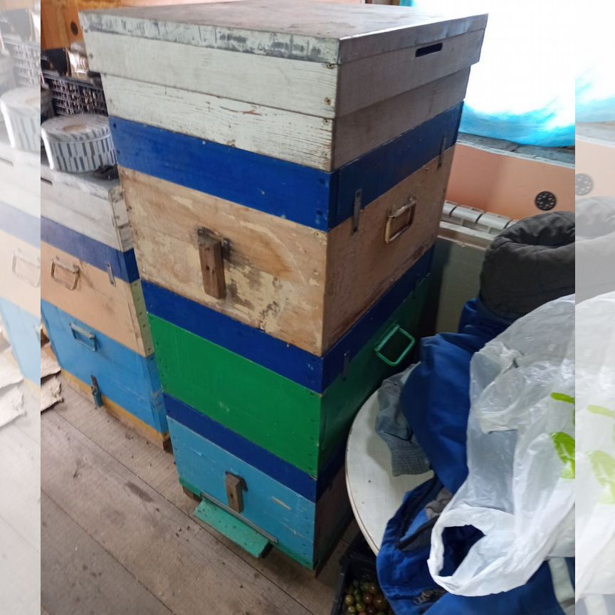 Улики для пчел. 10 рамочки