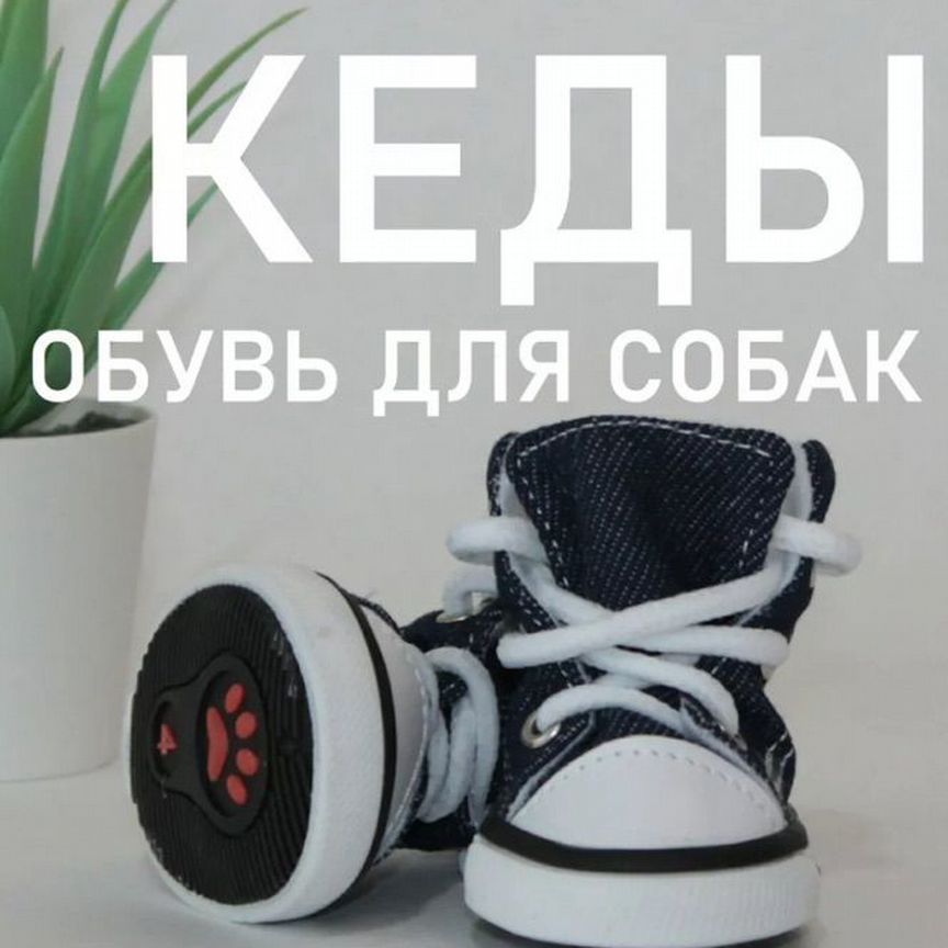 Обувь для собак