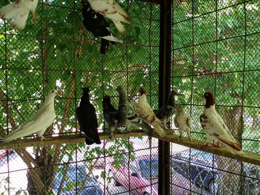 Молодёж - 2024 г